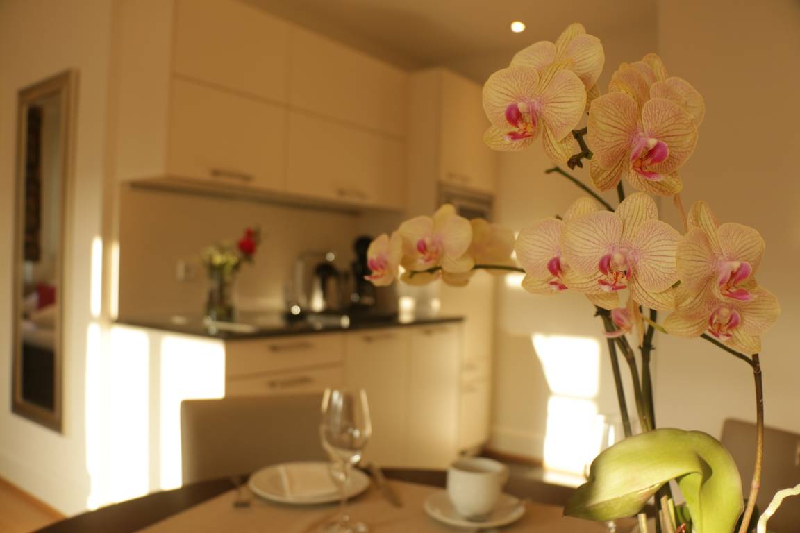 47 M² Ferienwohnung ∙ 1 Schlafzimmer ∙ 3 Gäste - Durbach