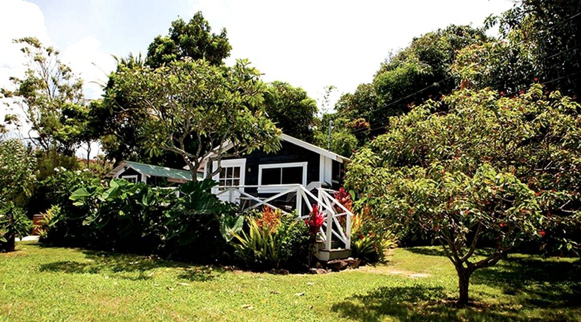 House ∙ 1 Bedroom ∙ 2 Guests - Hawi, HI