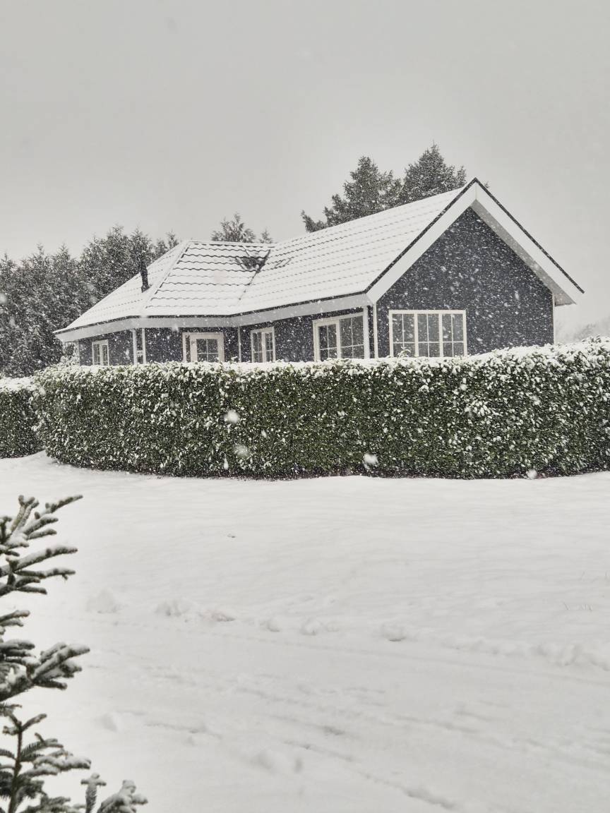 63 M² Bungalow ∙ 2 Habitaciones ∙ 4 Huéspedes - Assen