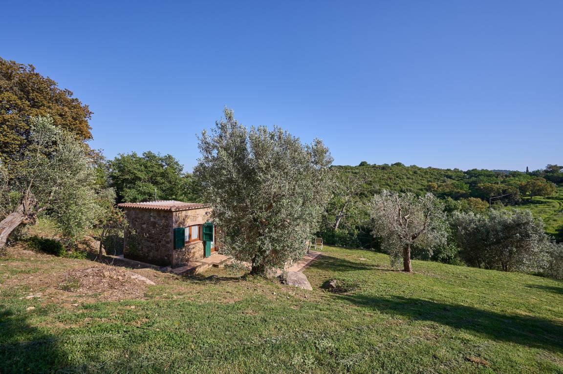 52 M² Maison De Vacances ∙ 2 Chambres ∙ 5 Personnes - Suvereto