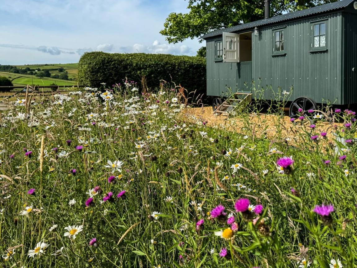 Cottage ∙ 1 Bedroom ∙ 2 Guests - Lancashire