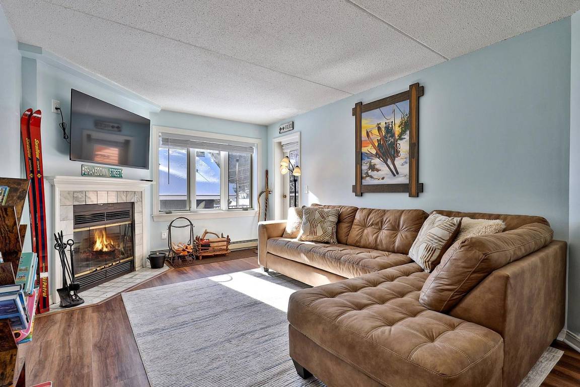 65 M² Appartement En Copropriété ∙ 1 Chambre ∙ 4 Personnes - Rutland, VT