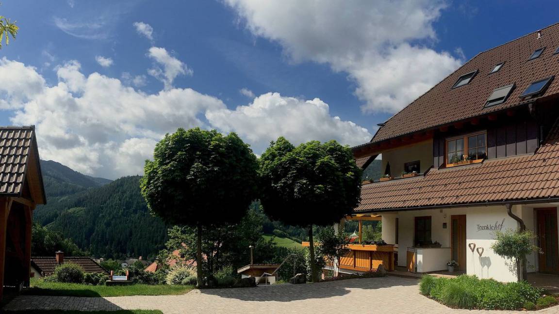 61 M² Apartamento ∙ 2 Habitaciones ∙ 4 Huéspedes - Glottertal