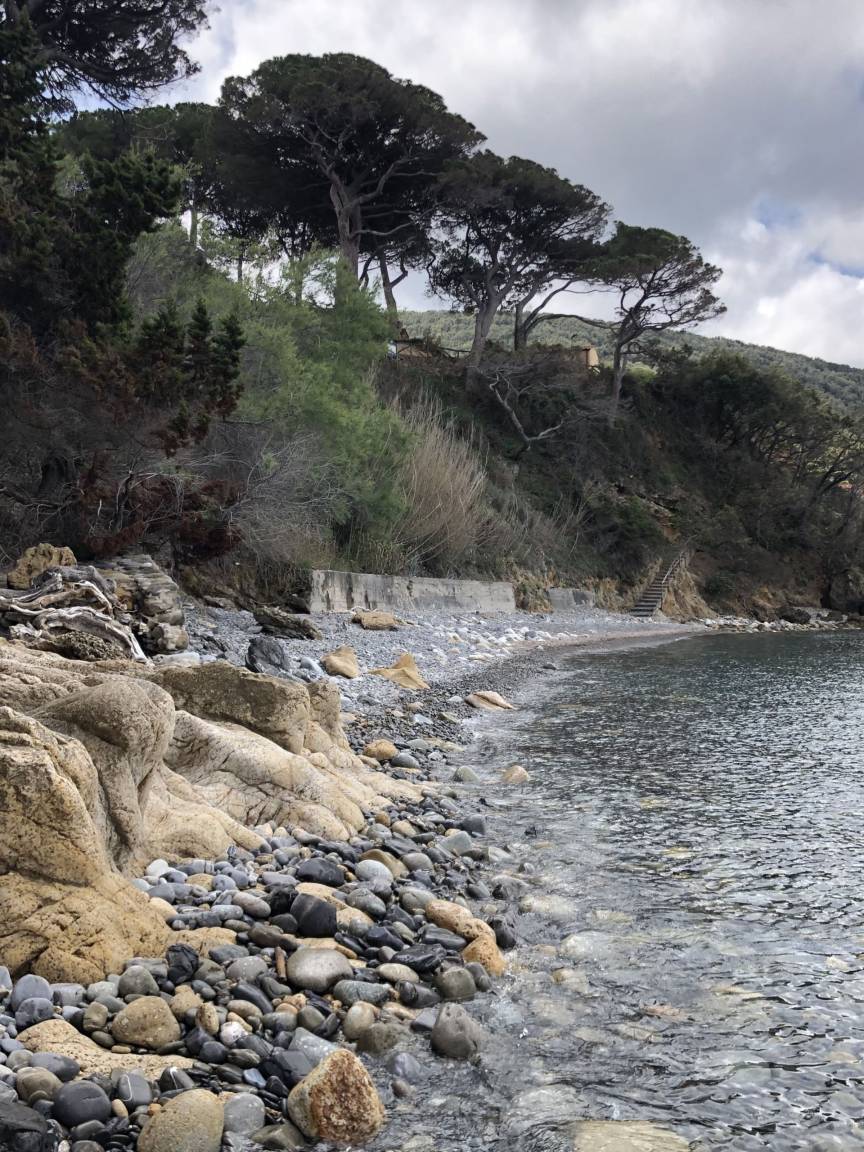 40 M² Apartment ∙ 1 Bedroom ∙ 4 Guests - Portoferraio