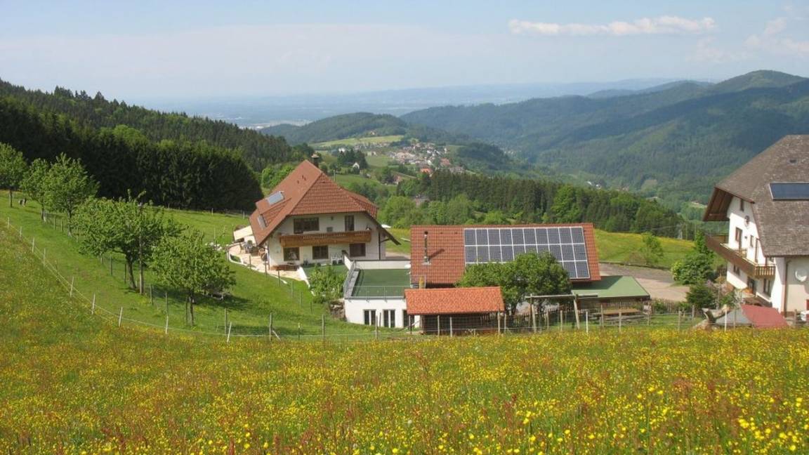 35 M² Appartement ∙ 1 Chambre ∙ 2 Personnes - Fribourg-en-Brisgau