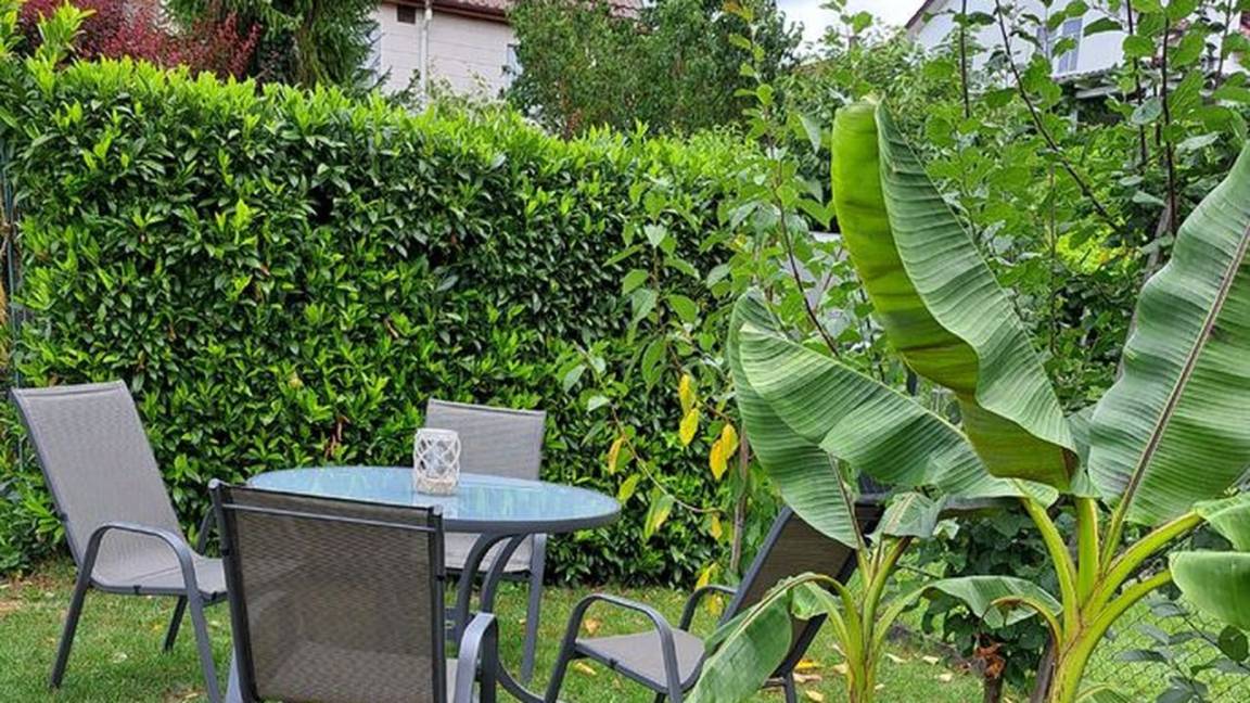 70 M² Ferienwohnung ∙ 2 Schlafzimmer ∙ 4 Gäste - Löwenstein