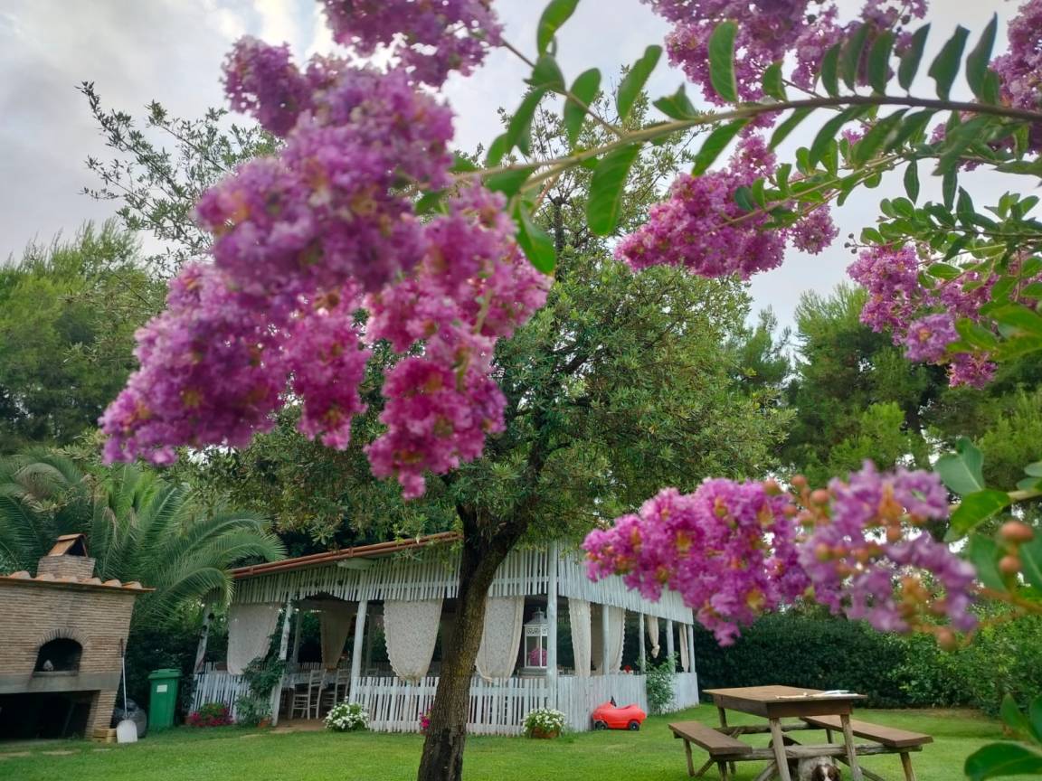 55 M² Private Room ∙ 2 Bedrooms ∙ 5 Guests - San Vincenzo
