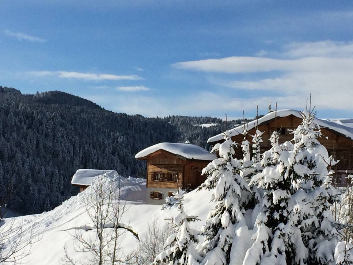70 M² Chalet ∙ 2 Schlafzimmer ∙ 5 Gäste - Les Gets