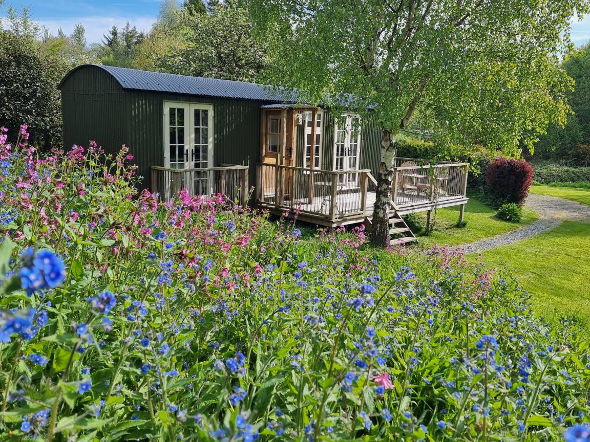 Cottage ∙ 1 Bedroom ∙ 2 Guests - Welshpool