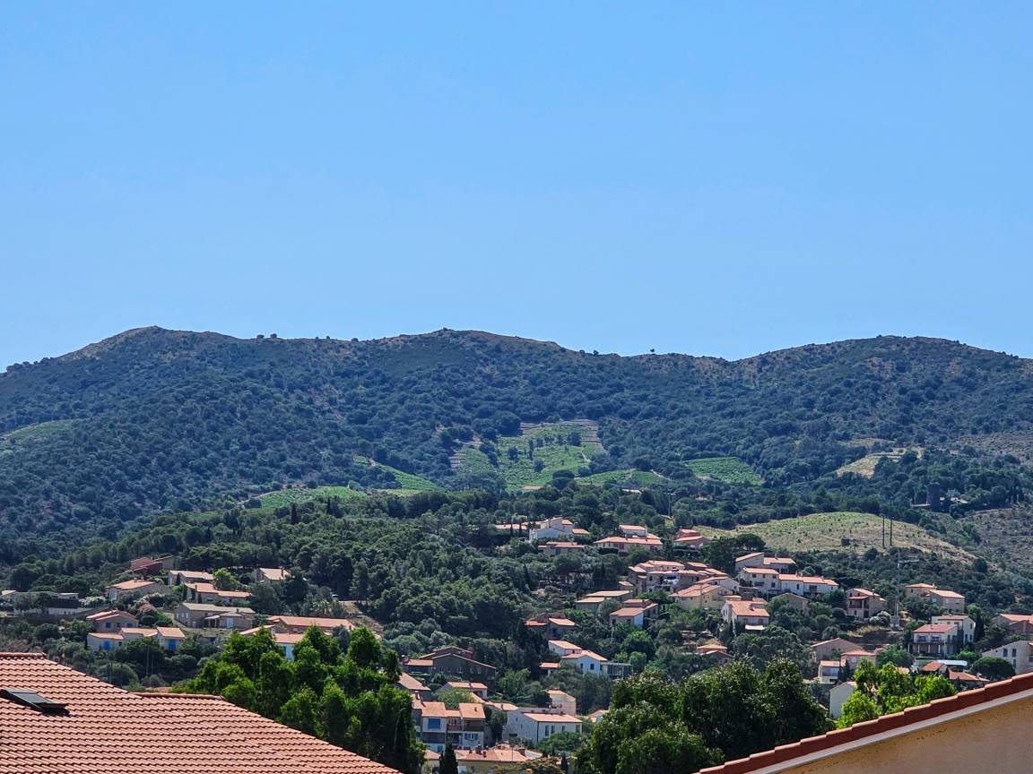 65 M² Appartement ∙ 3 Chambres ∙ 6 Personnes - Banyuls-sur-Mer