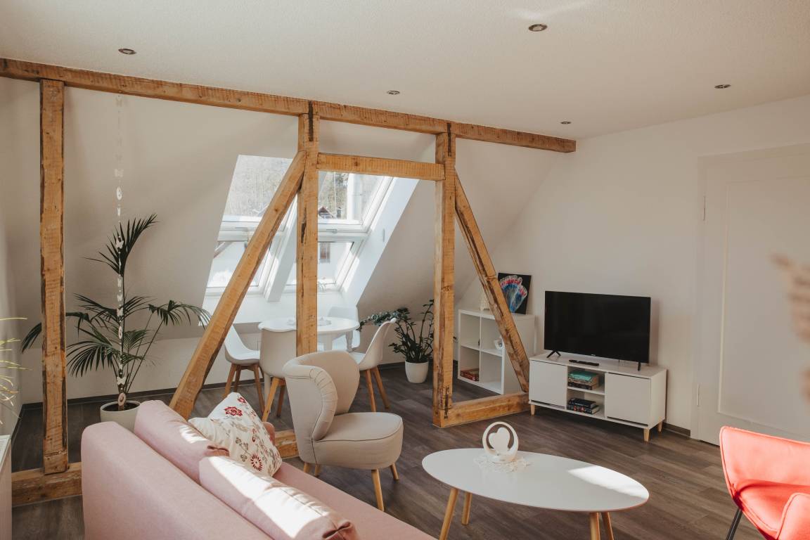 56 M² Apartamento ∙ 1 Habitación ∙ 3 Huéspedes - Bad Wildbad