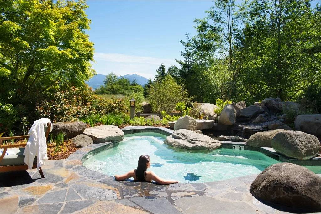 Caravan ∙ 1 Bedroom ∙ 2 Guests - Carson, WA
