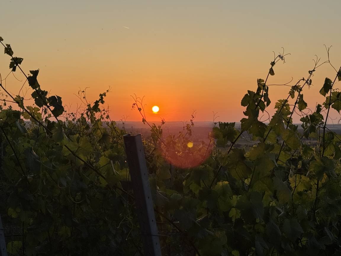 60 M² Ferienwohnung ∙ 2 Schlafzimmer ∙ 4 Gäste - Dettelbach