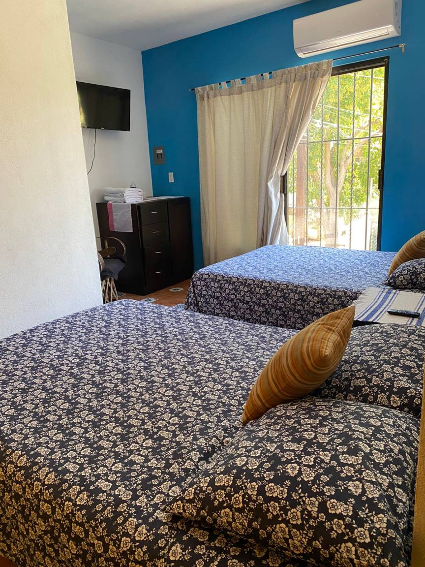 Private Room ∙ 1 Bedroom ∙ 3 Guests - San José del Cabo