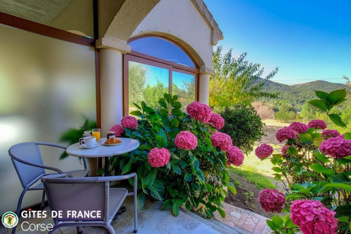 41 M² Gîte ∙ 1 Chambre ∙ 2 Personnes - Calenzana
