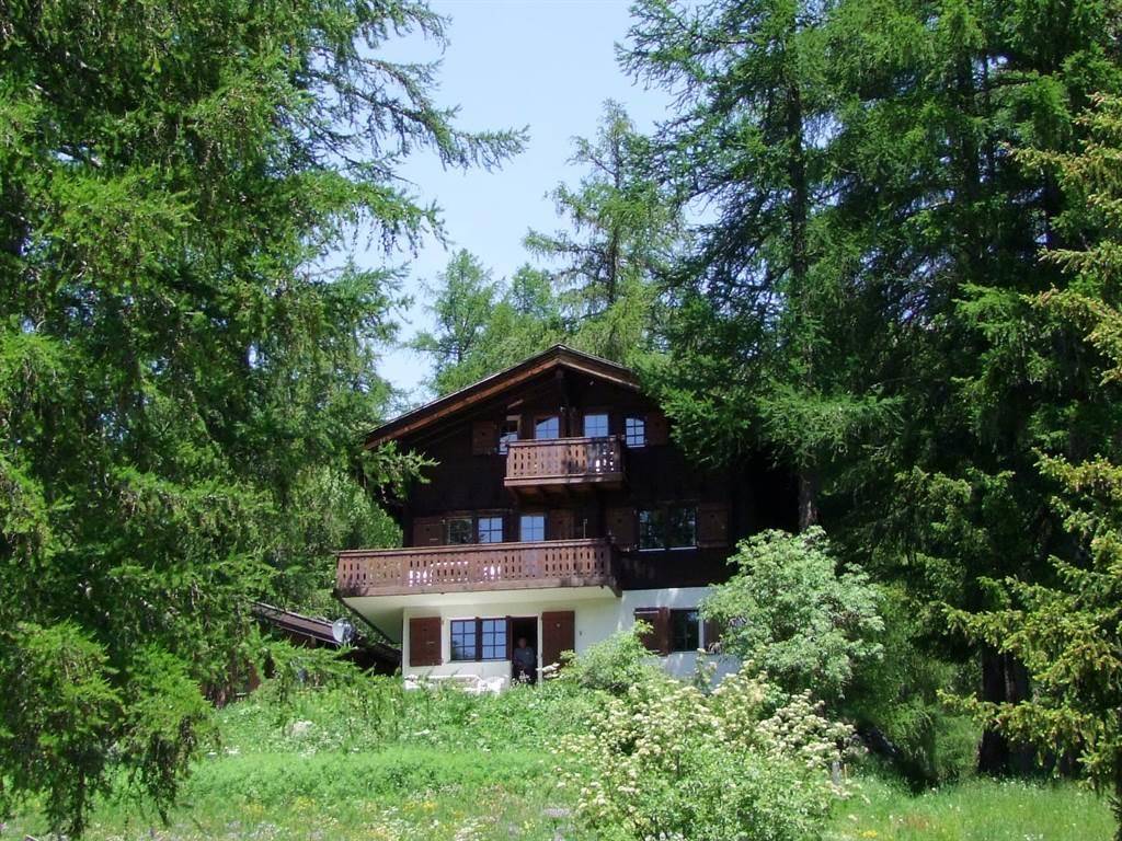 60 M² Ferienwohnung ∙ 2 Schlafzimmer ∙ 4 Gäste - Bellwald