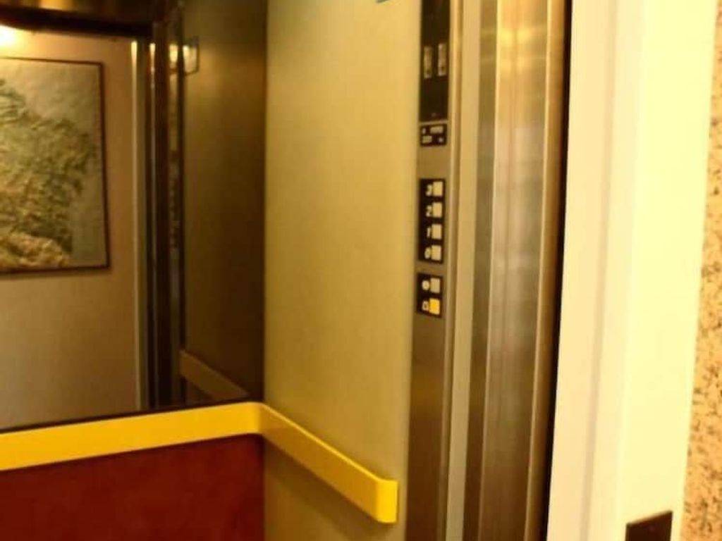 Nest El Camino - Saint-Jacques-de-Compostelle