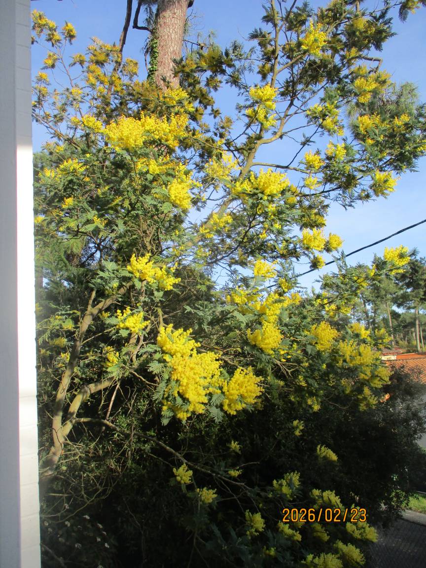 90 M² Maison De Vacances ∙ 2 Chambres ∙ 7 Personnes - Ronce-les-Bains