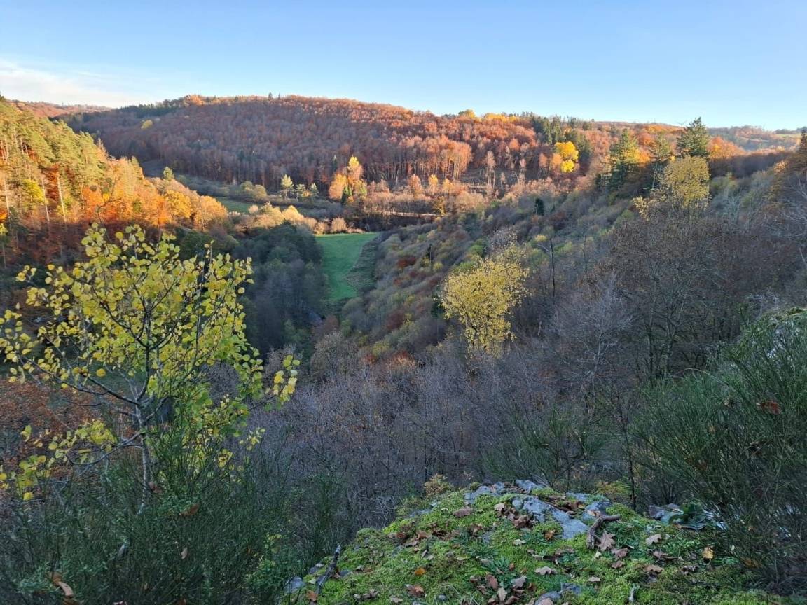 90 M² House ∙ 2 Bedrooms ∙ 6 Guests - Idar-Oberstein