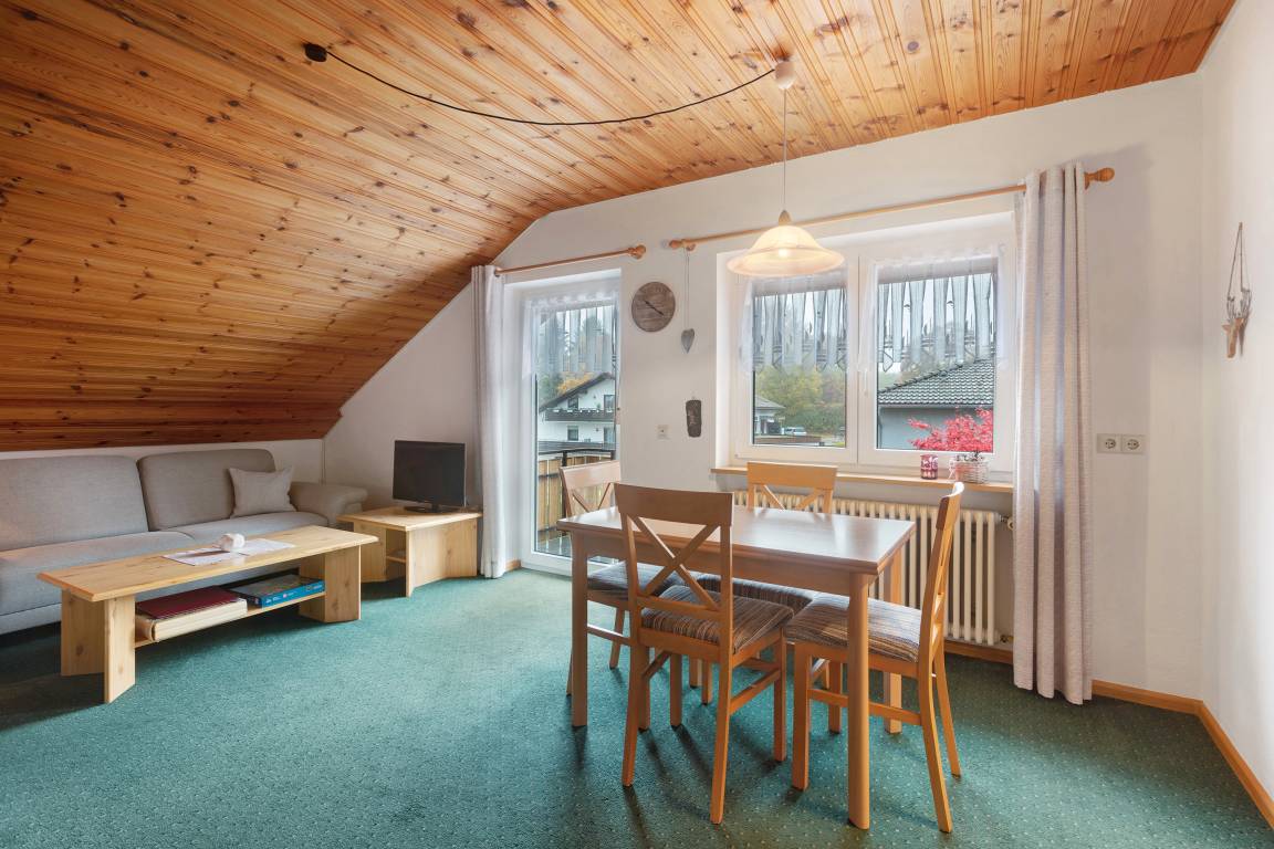 65 M² Apartment ∙ 1 Bedroom ∙ 4 Guests - Höchenschwand