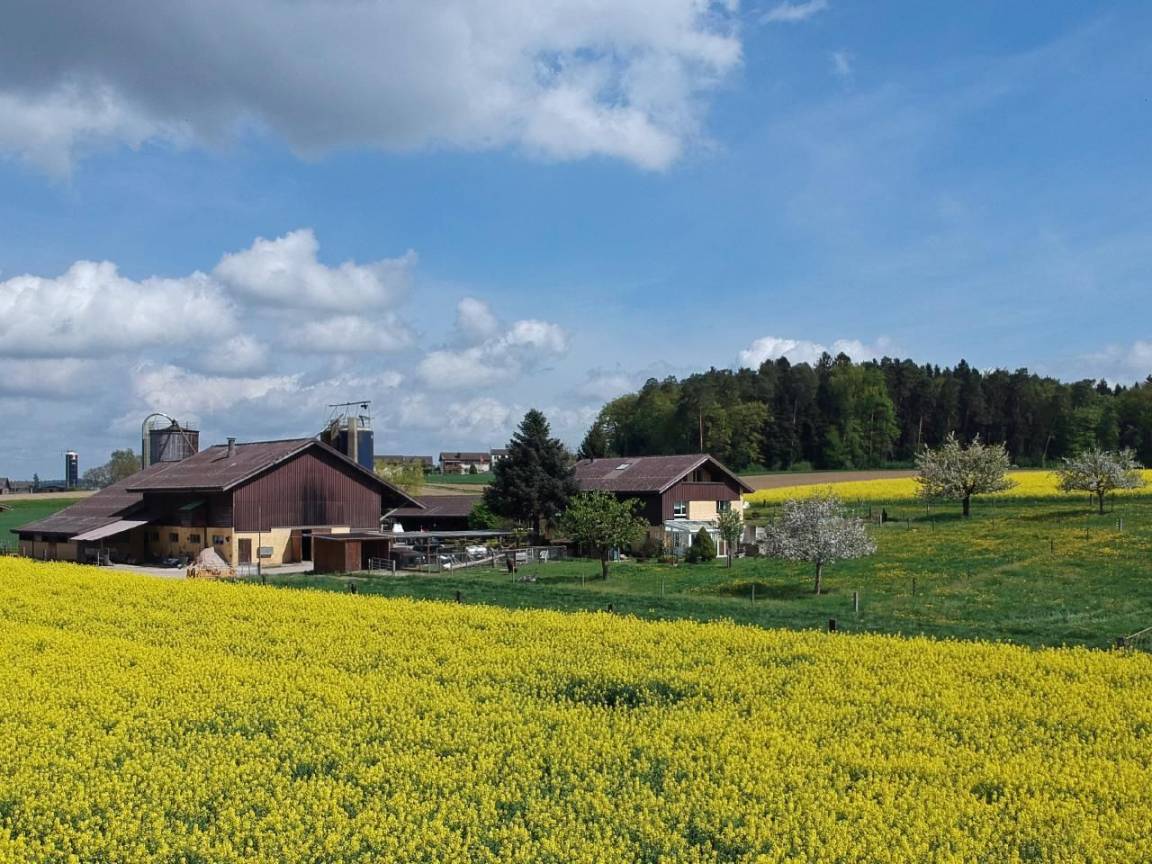 55 M² Apartment ∙ 1 Bedroom ∙ 5 Guests - Winterthur