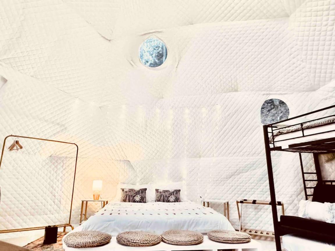 41 M² Huis ∙ 1 Slaapkamer ∙ 6 Gasten - Cosby, TN