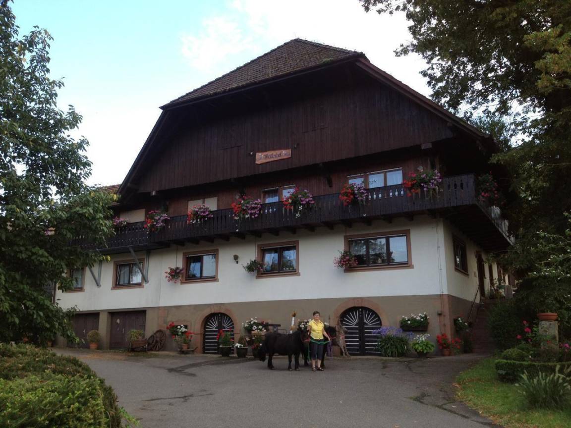 80 M² Ferienwohnung ∙ 2 Schlafzimmer ∙ 5 Gäste - Zell am Harmersbach