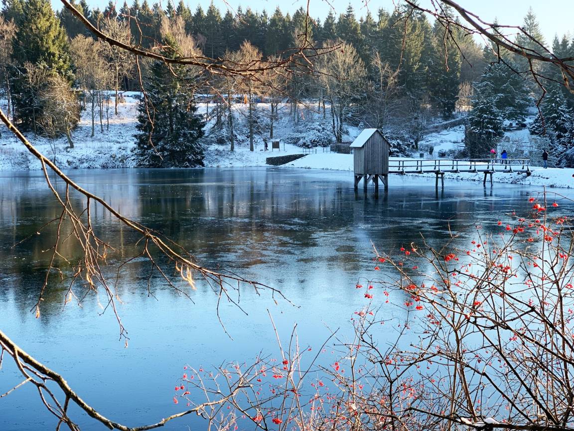 85 M² Apartamento ∙ 2 Habitaciones ∙ 4 Huéspedes - Hahnenklee