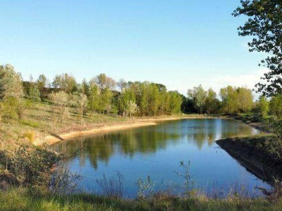 Casa Móvel ∙ 2 Quartos ∙ 4 Hóspedes - Castelnaudary