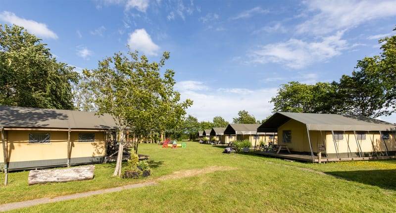 Tent ∙ 2 Bedrooms ∙ 6 Guests - Vrouwenpolder