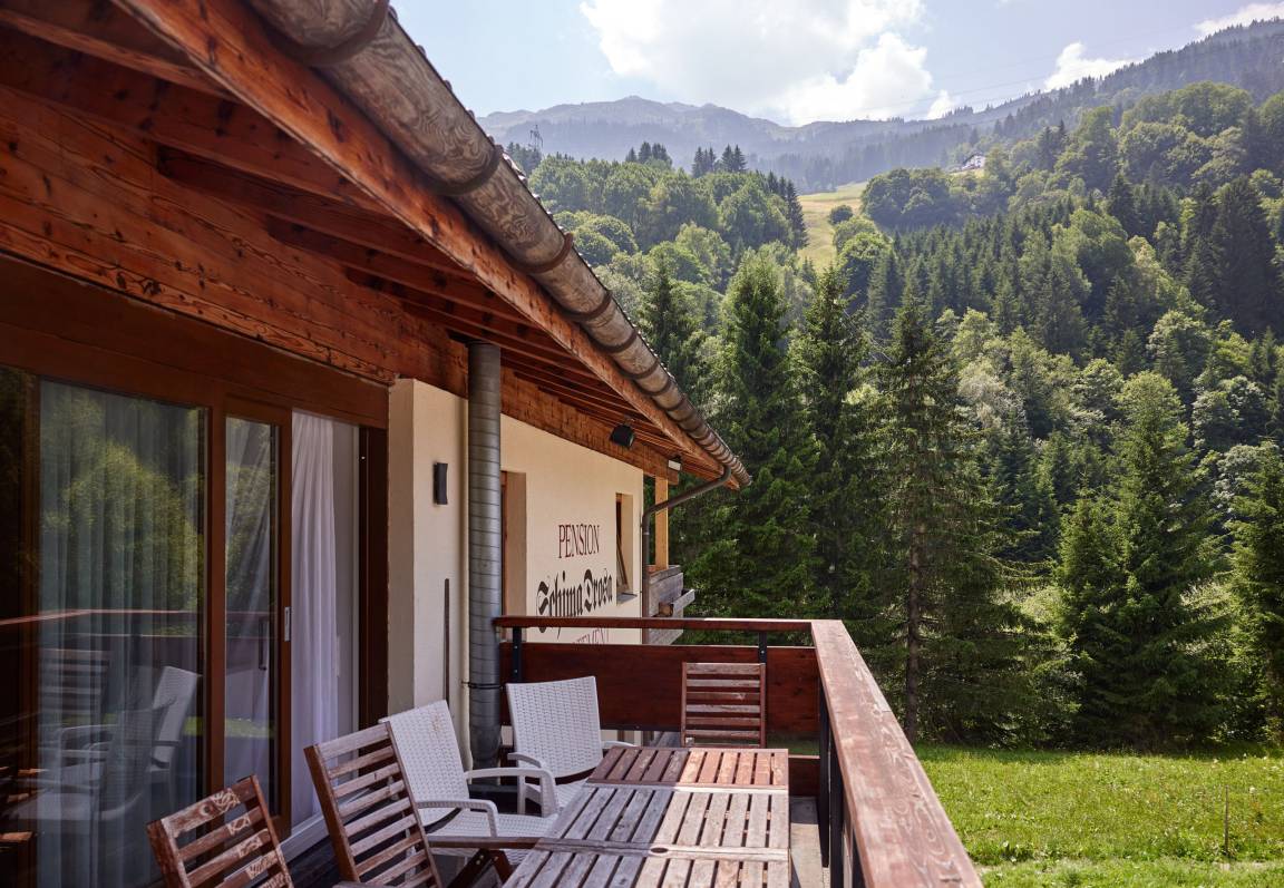 47 M² Appartement ∙ 2 Slaapkamers ∙ 6 Gasten - Gaschurn
