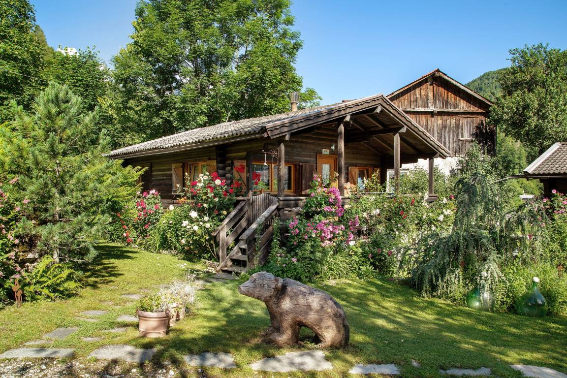 48 M² Chalet ∙ 2 Chambres ∙ 4 Personnes - Borca di Cadore