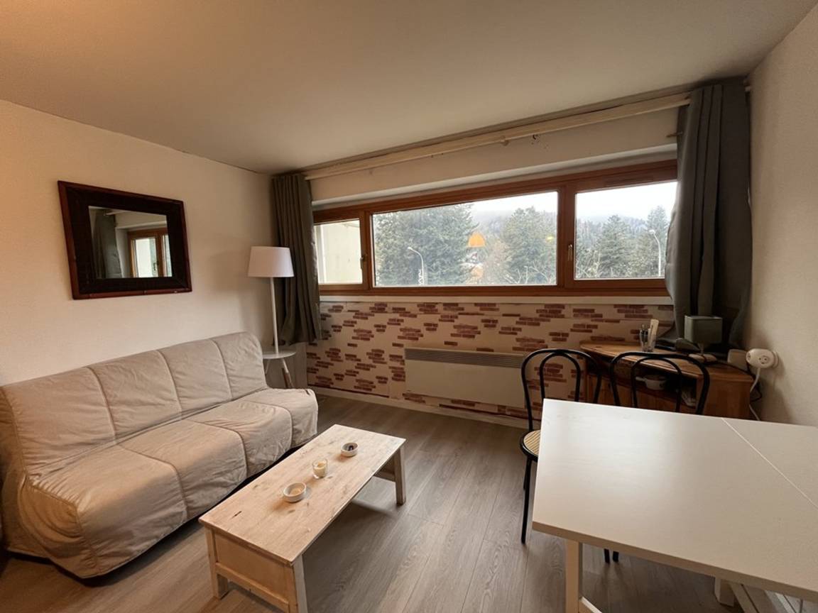 22 M² Studio ∙ 1 Chambre ∙ 3 Personnes - Le Lioran (Super Lioran)