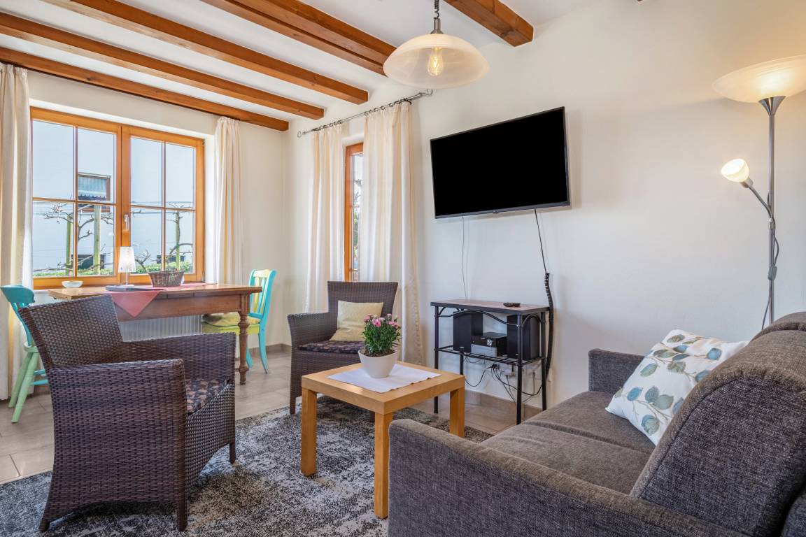 40 M² Appartement ∙ 1 Chambre ∙ 2 Personnes - Immenstaad