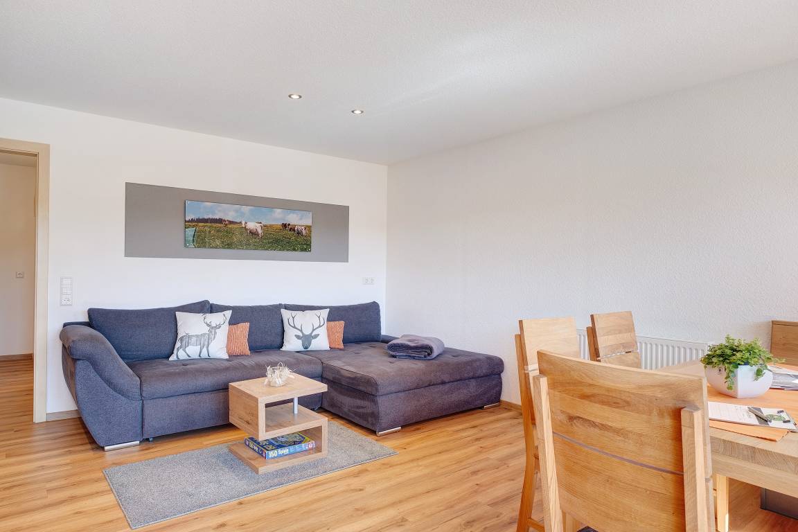 65 M² Apartment ∙ 2 Bedrooms ∙ 4 Guests - Titisee-Neustadt