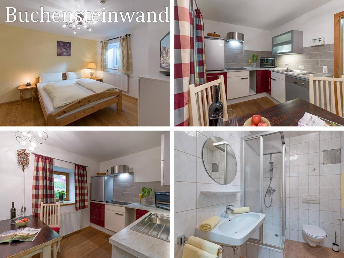 29 M² Apartment ∙ 1 Bedroom ∙ 2 Guests - Fieberbrunn
