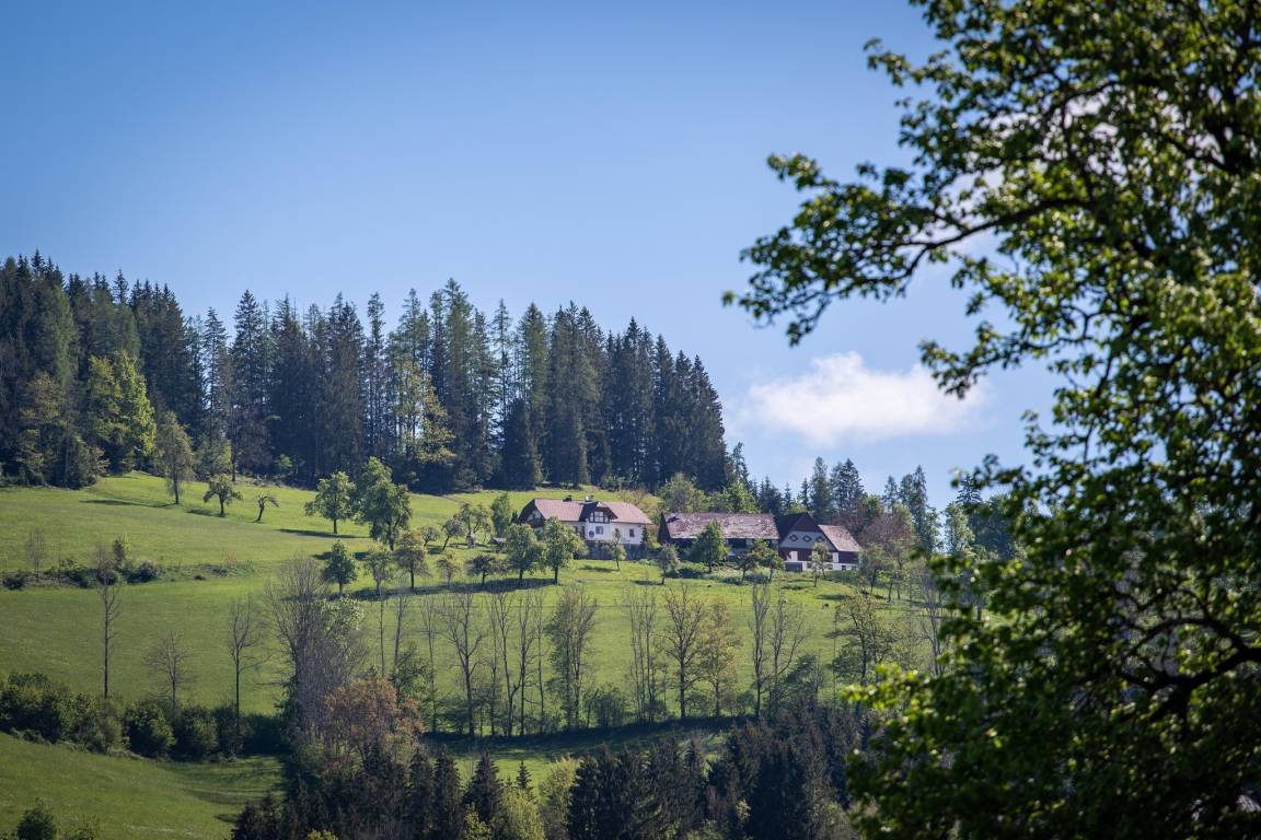 Hotel ∙ 2 Bedrooms ∙ 4 Guests - Windischgarsten