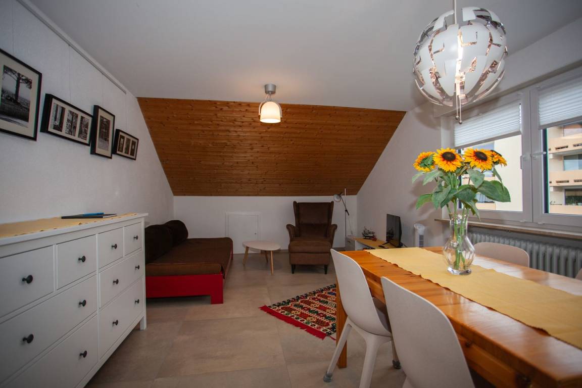 40 M² Apartamento ∙ 1 Habitación ∙ 3 Huéspedes - Immenstaad