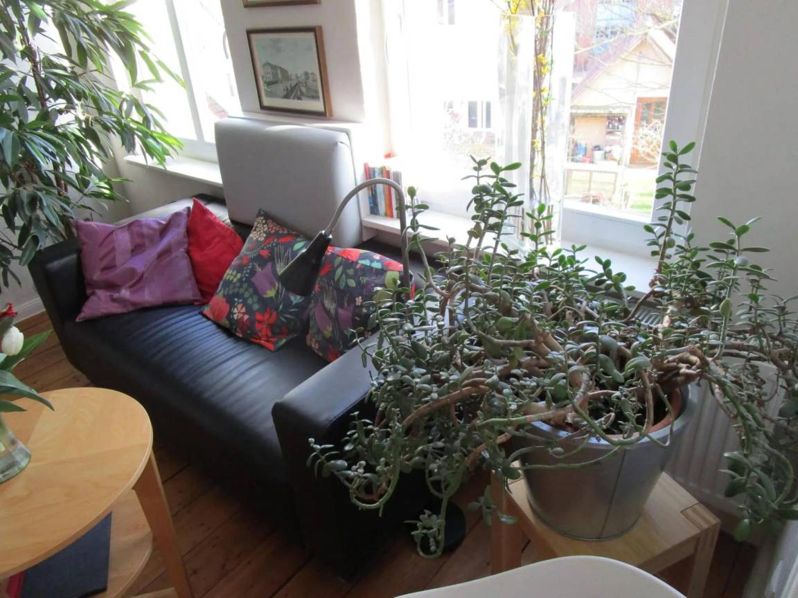 70 M² Apartment ∙ 2 Bedrooms ∙ 4 Guests - Oldenburg
