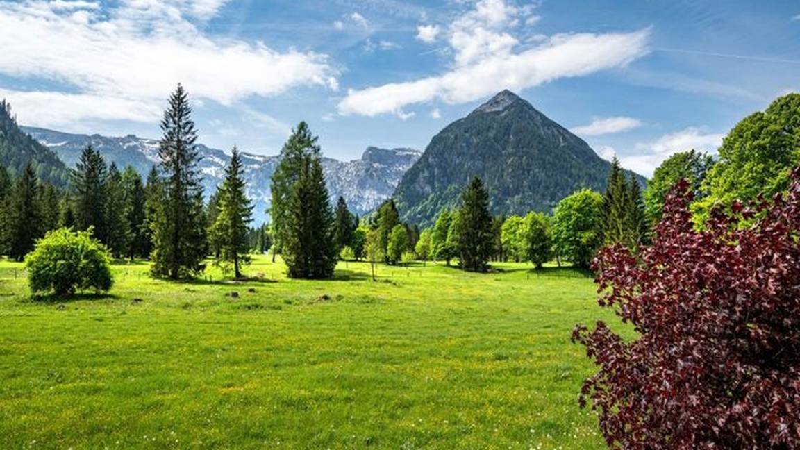 50 M² Ferienwohnung ∙ 1 Schlafzimmer ∙ 2 Gäste - Pertisau