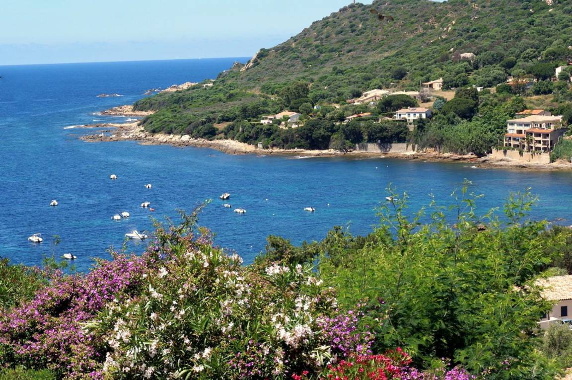 28 M² Gîte ∙ 1 Chambre ∙ 2 Personnes - Corse