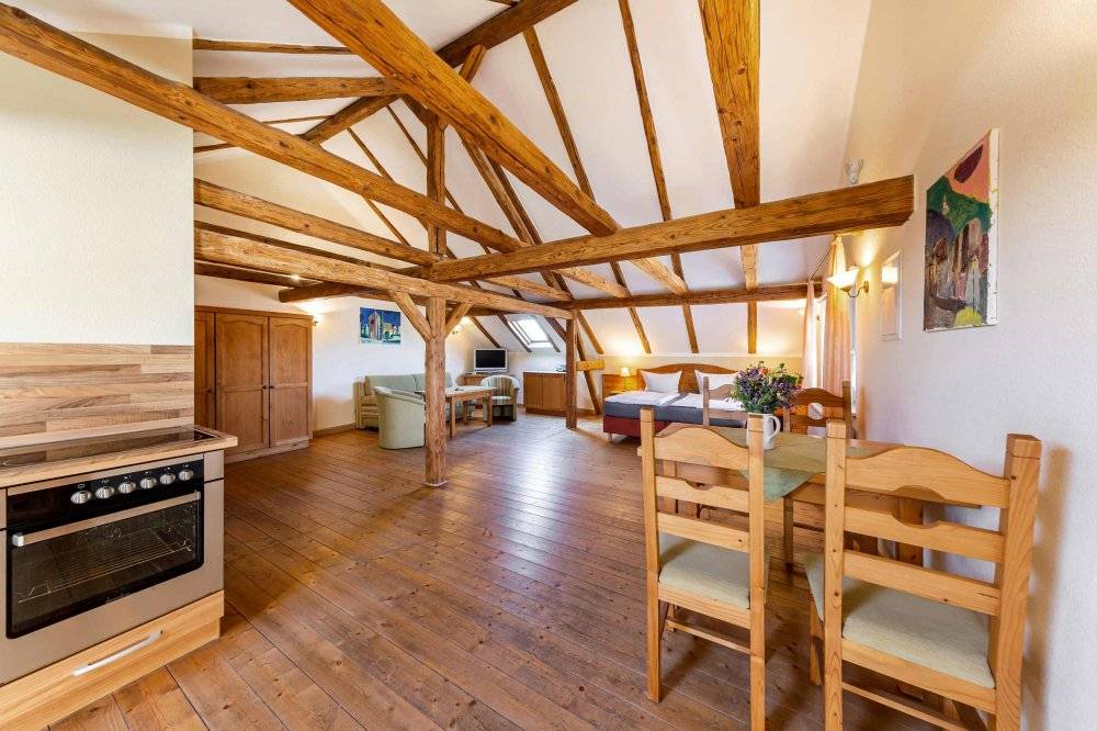 60 M² Appartement ∙ 1 Slaapkamer ∙ 4 Gasten - Rudolstadt