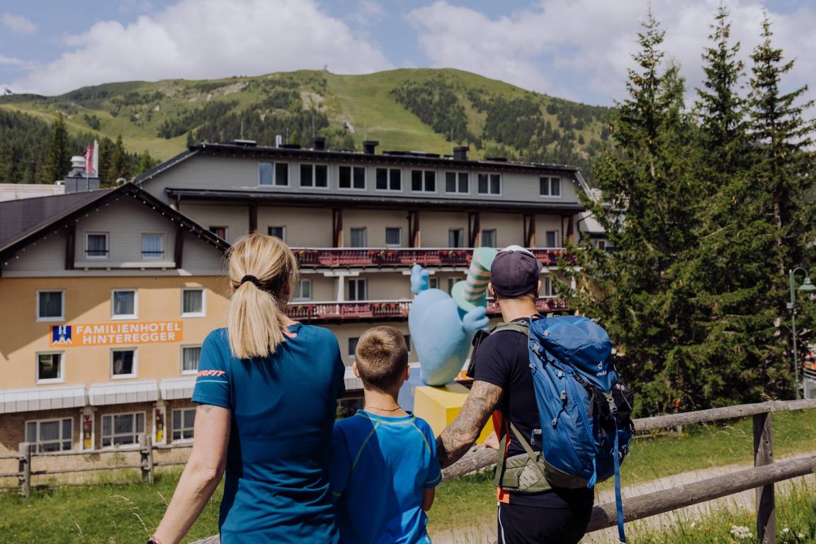 28 M² Hotel ∙ 1 Habitación ∙ 2 Huéspedes - Katschberg Pass