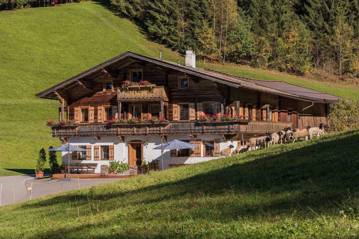 50 M² Apartment ∙ 2 Bedrooms ∙ 4 Guests - Kufstein