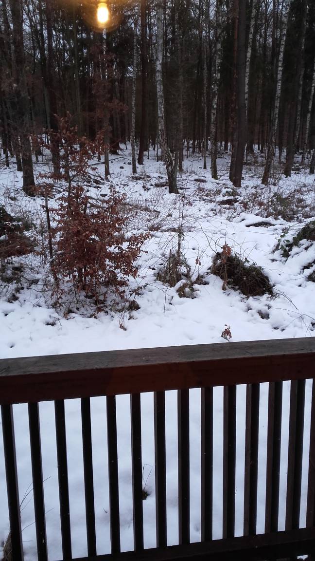 Apartment ∙ 2 Bedrooms ∙ 3 Guests - Bad Königshofen