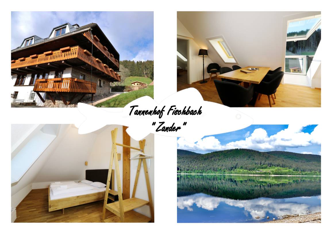61 M² Apartment ∙ 2 Bedrooms ∙ 4 Guests - Schluchsee