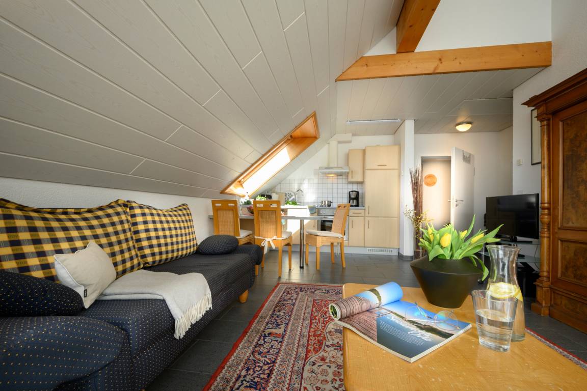 47 M² Ferienwohnung ∙ 1 Schlafzimmer ∙ 4 Gäste - Öhningen