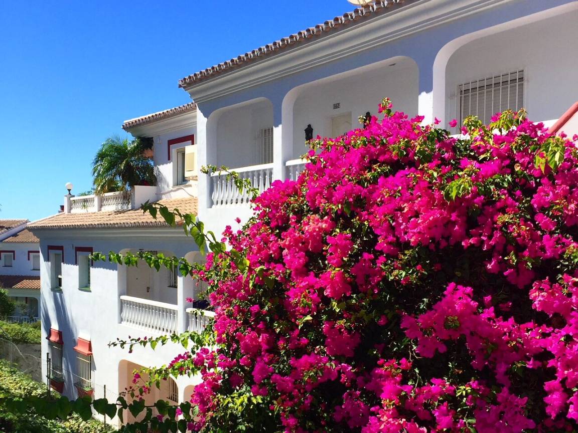 64 M² Ferienwohnung ∙ 2 Schlafzimmer ∙ 4 Gäste - Torrox-Costa