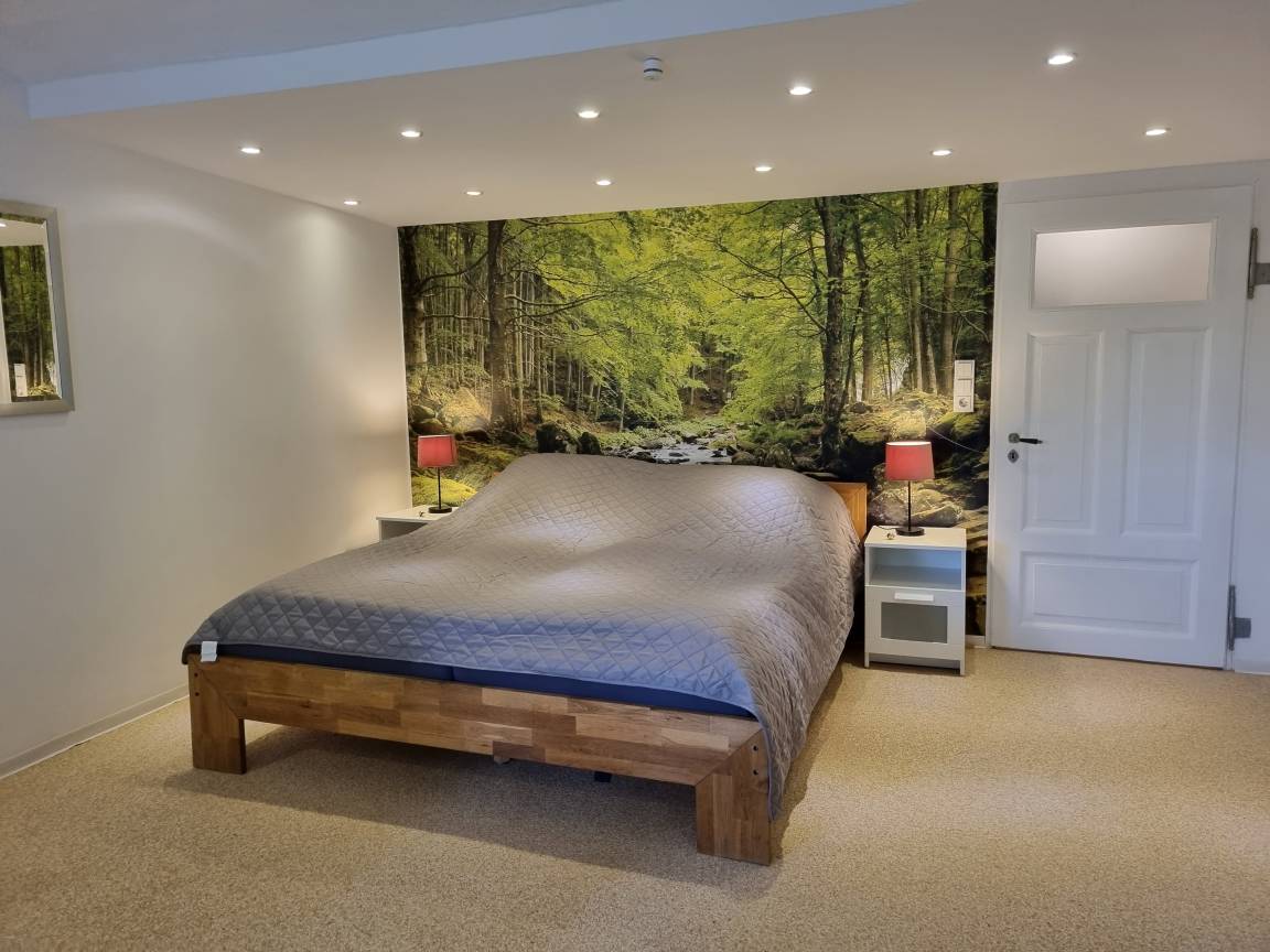 60 M² Apartment ∙ 1 Bedroom ∙ 3 Guests - Goslar