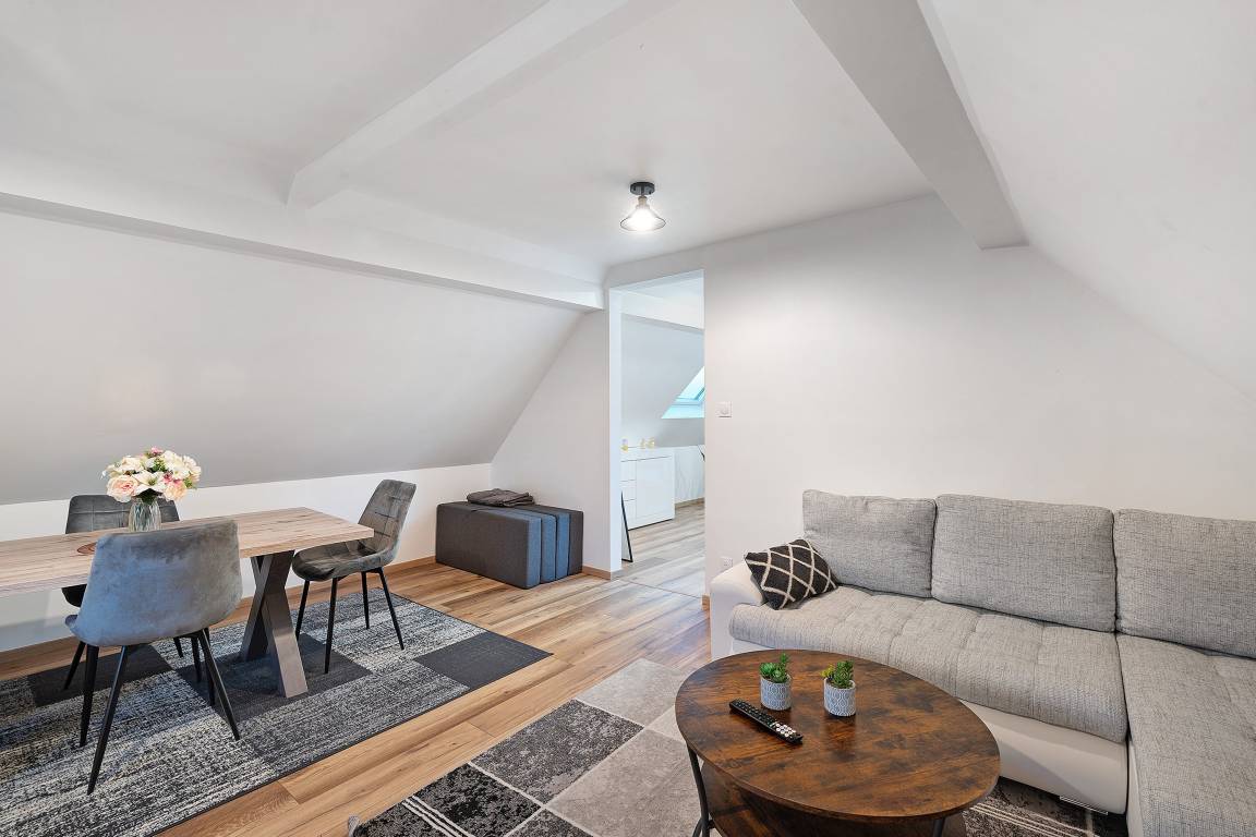 67 M² Appartement ∙ 1 Slaapkamer ∙ 3 Gasten - Kehl